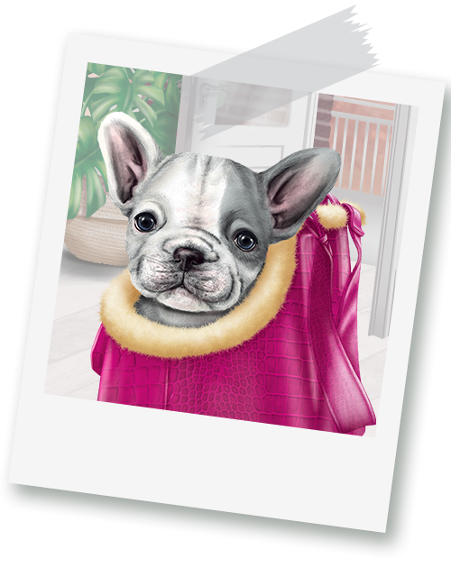 Cookie - pet - TOPModel by Depesche UK