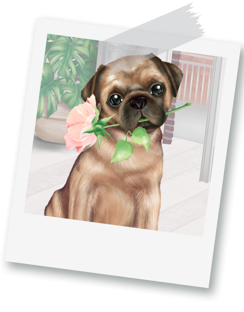 Prince - pet - TOPModel by Depesche UK