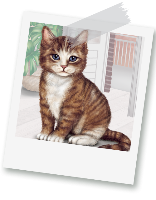 Tiger - pet - TOPModel by Depesche UK